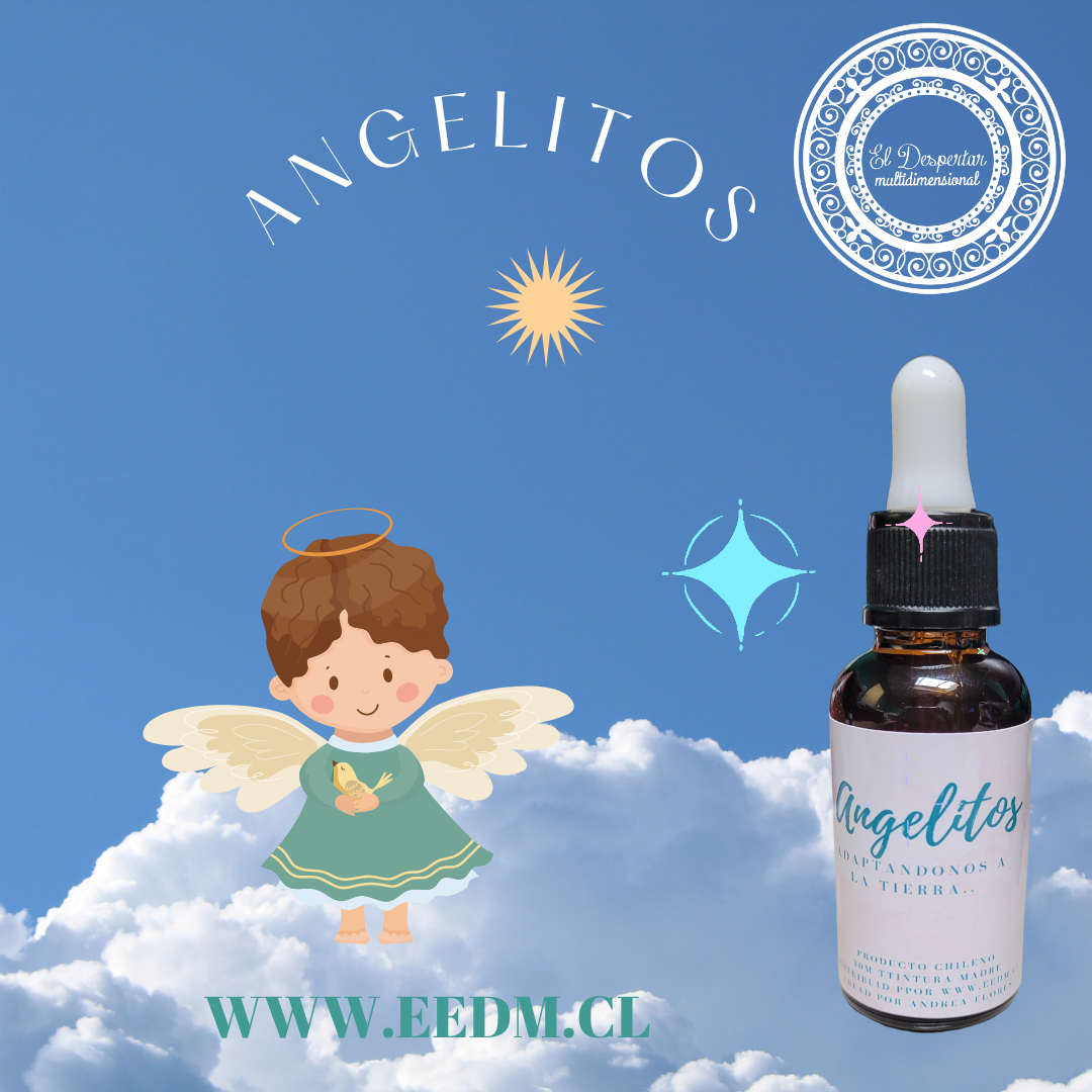 𝕲𝖔𝖙𝖎𝖙𝖆𝖘 A𝖓𝖌𝖊𝖑𝖎𝖙𝖔 - Tienda en Linea EEDM